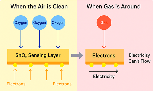 What You Need to Know about Gas Sensors